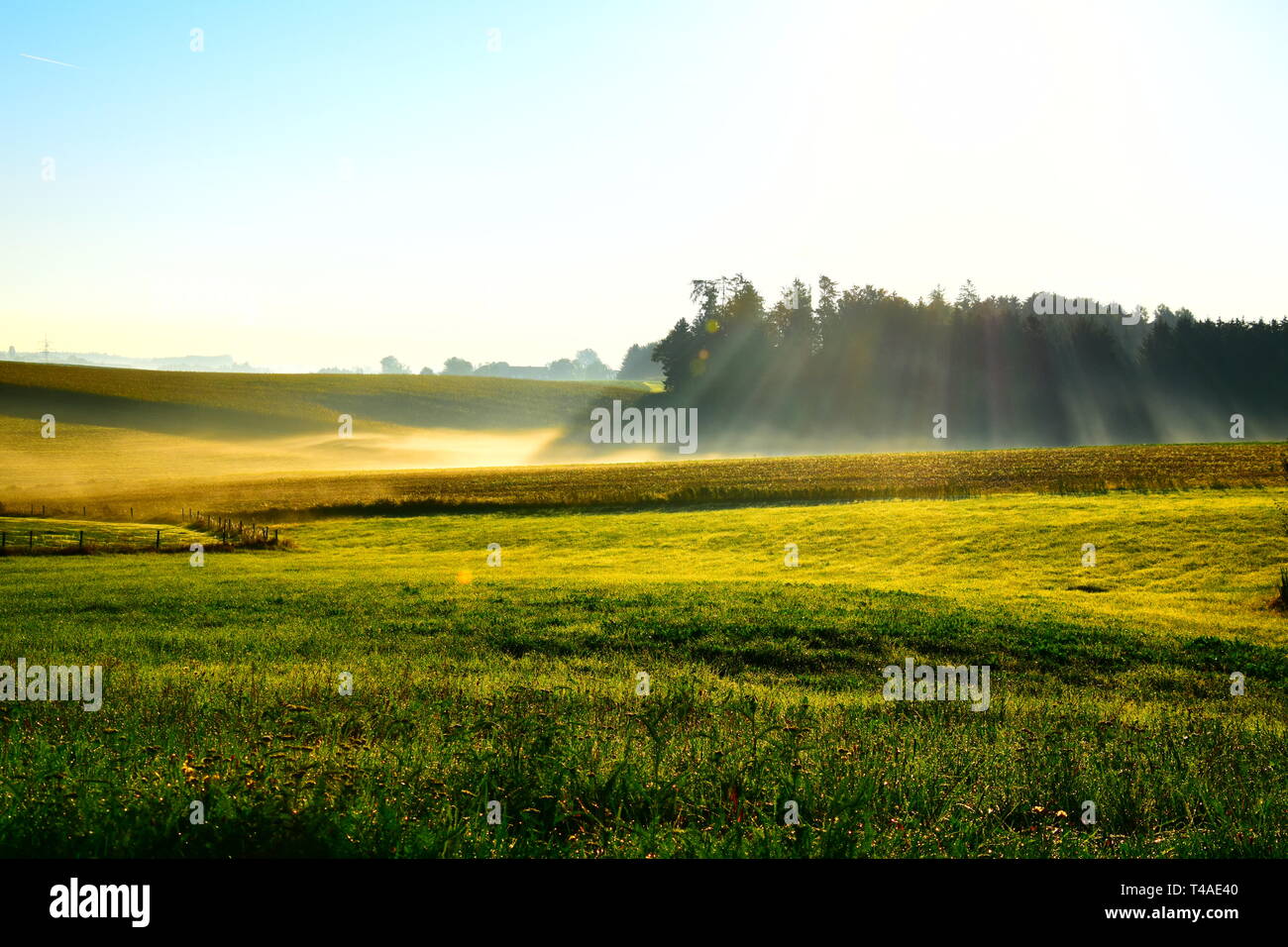 Sun shining through fog hi-res stock photography and images - Alamy