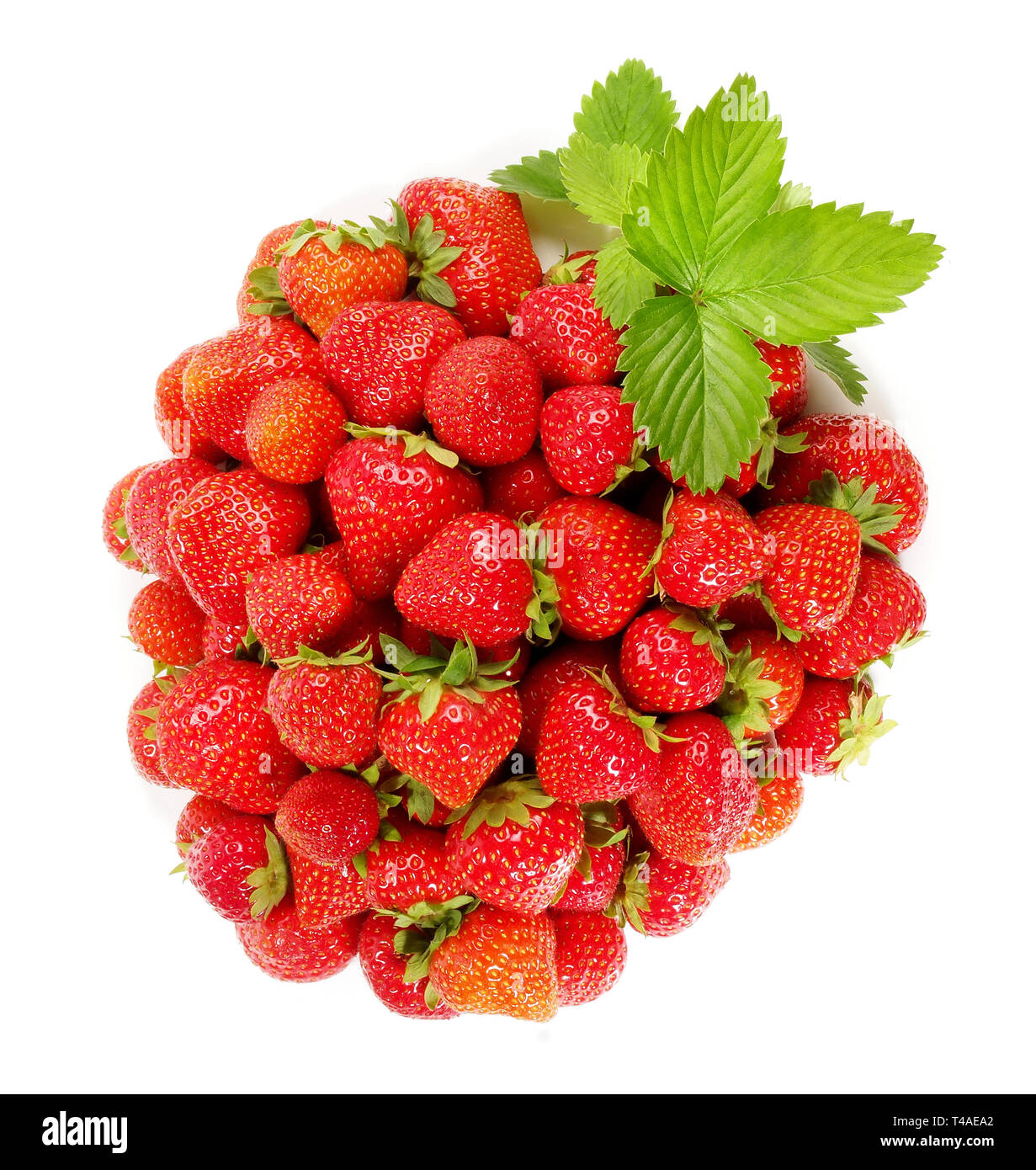 Strawberries in Berry Shape on white Background Stock Photo - Alamy