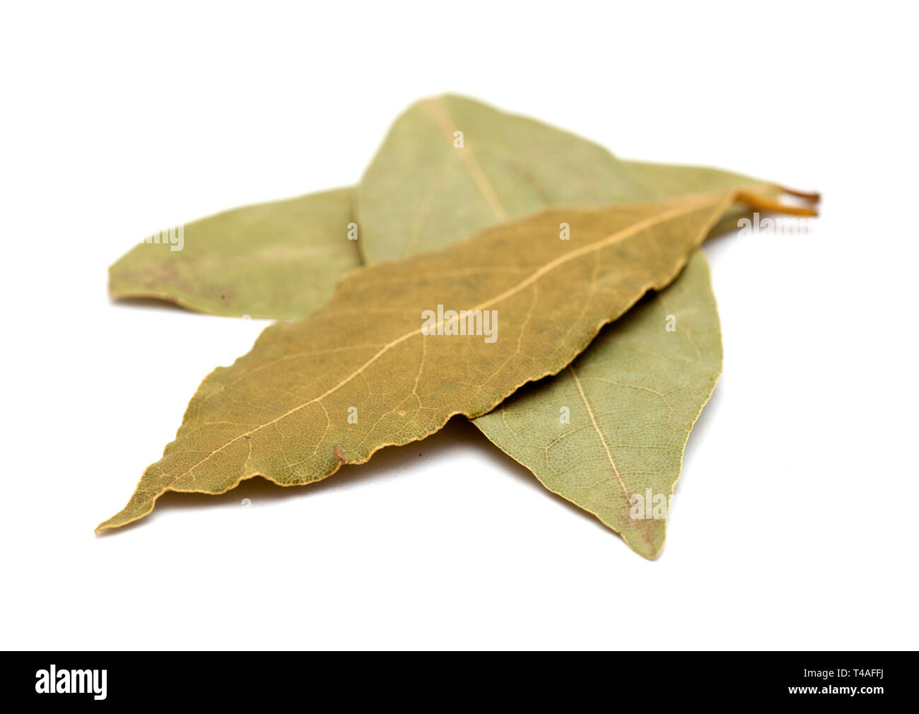 dry bay leaves isolated on white background Stock Photo - Alamy