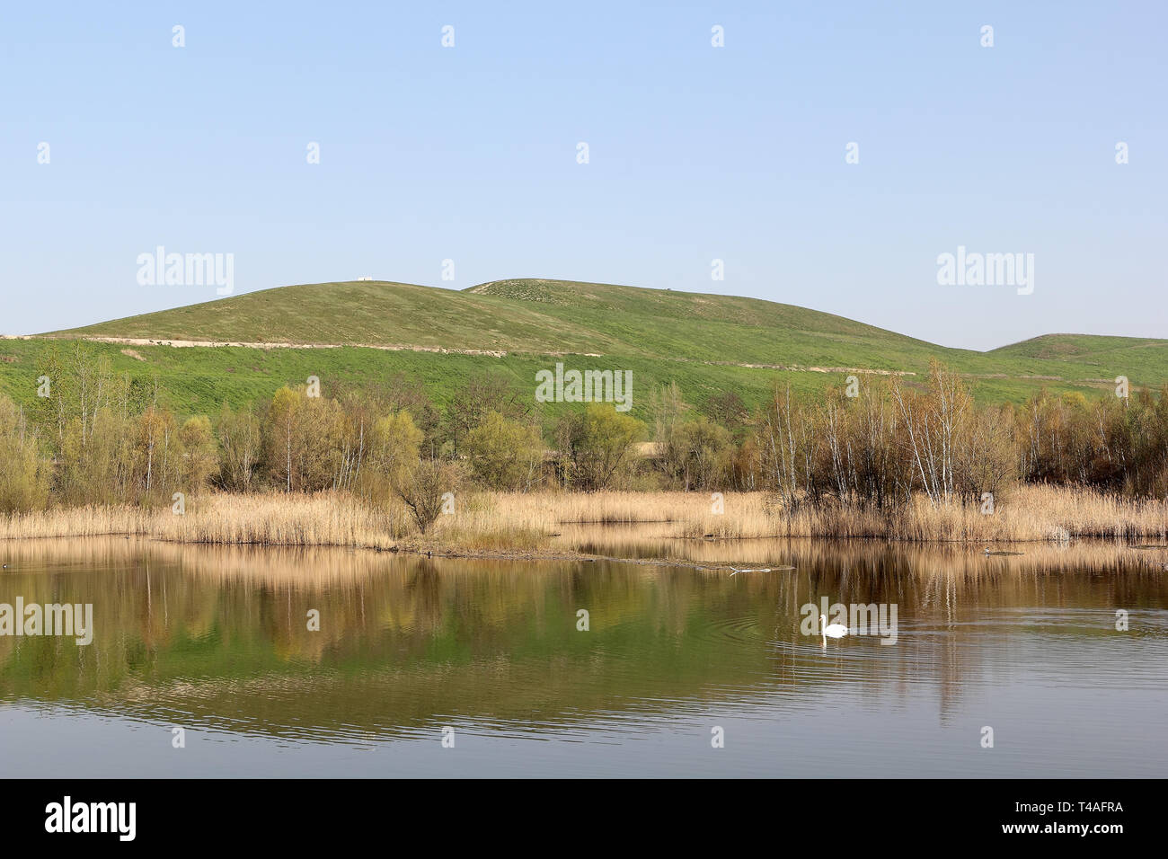 Humid biotope hi-res stock photography and images - Alamy
