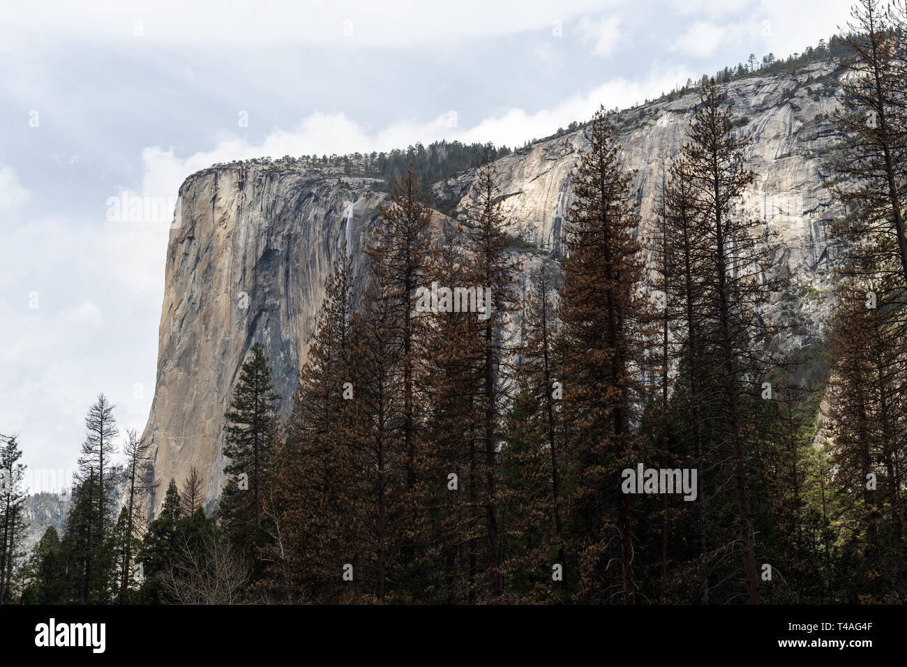 El cap hi-res stock photography and images - Alamy