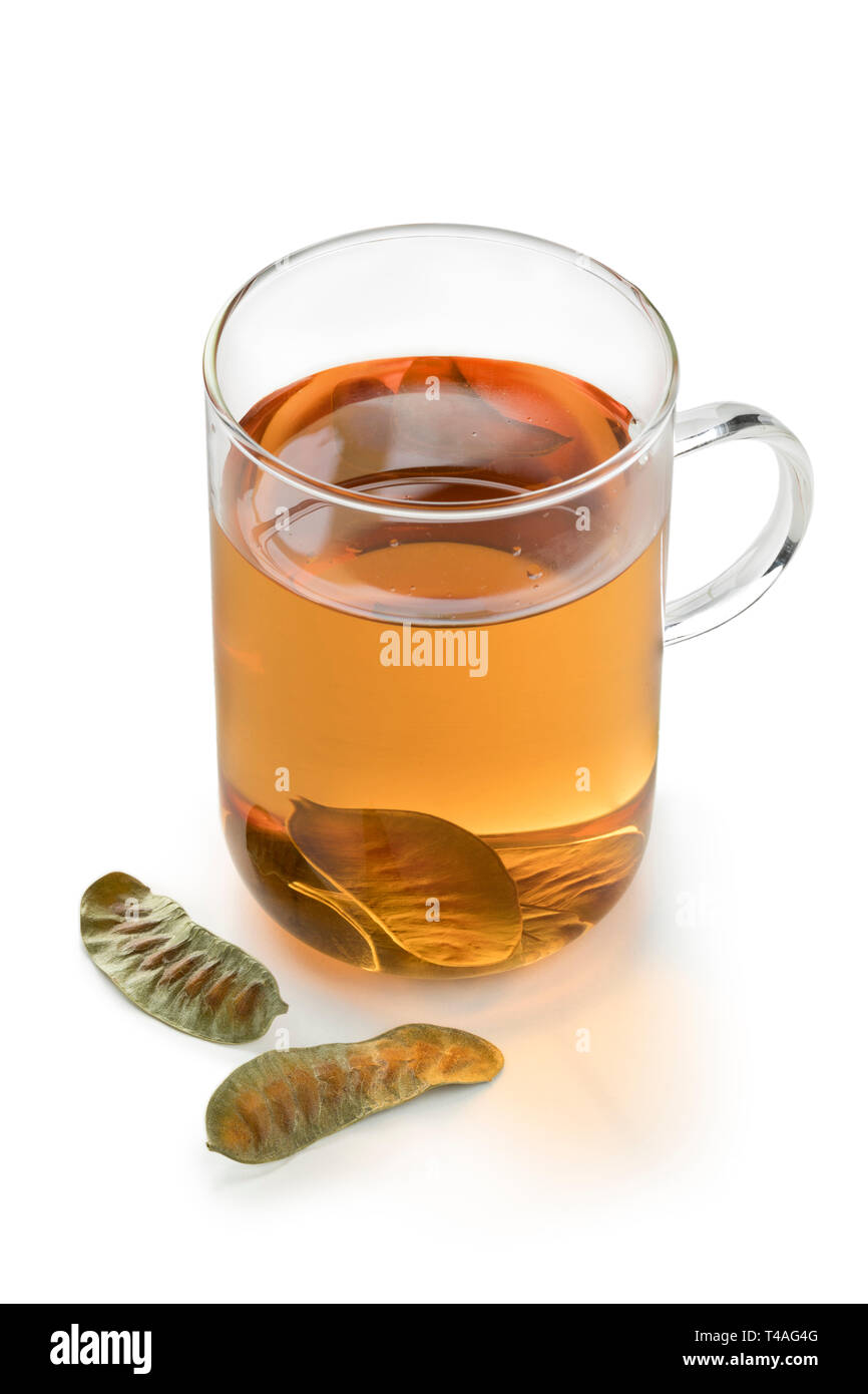Glass of fresh hot Senna tea and dried pods isolated on white ...