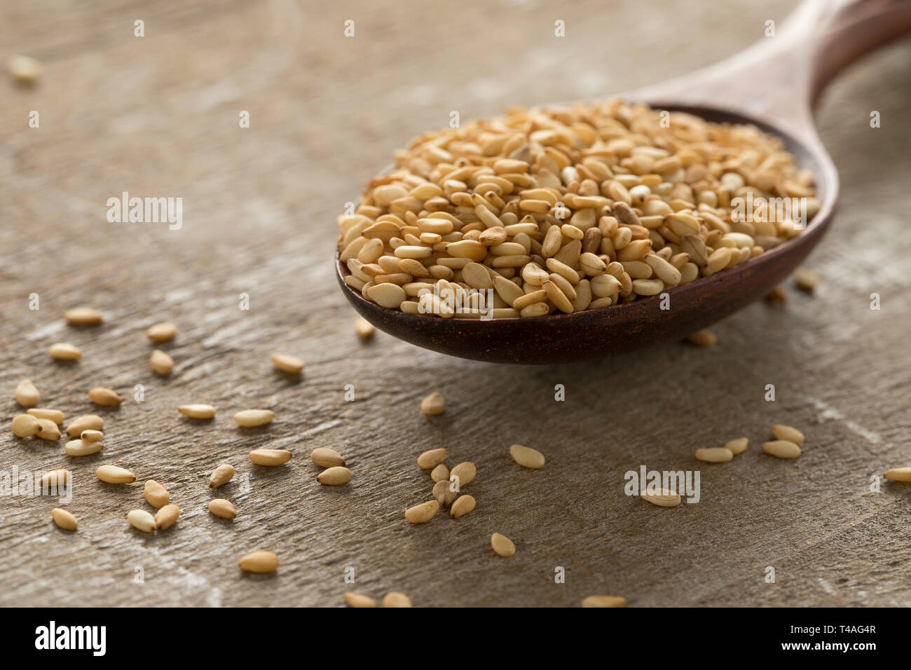 Spoon seed hi-res stock photography and images - Alamy