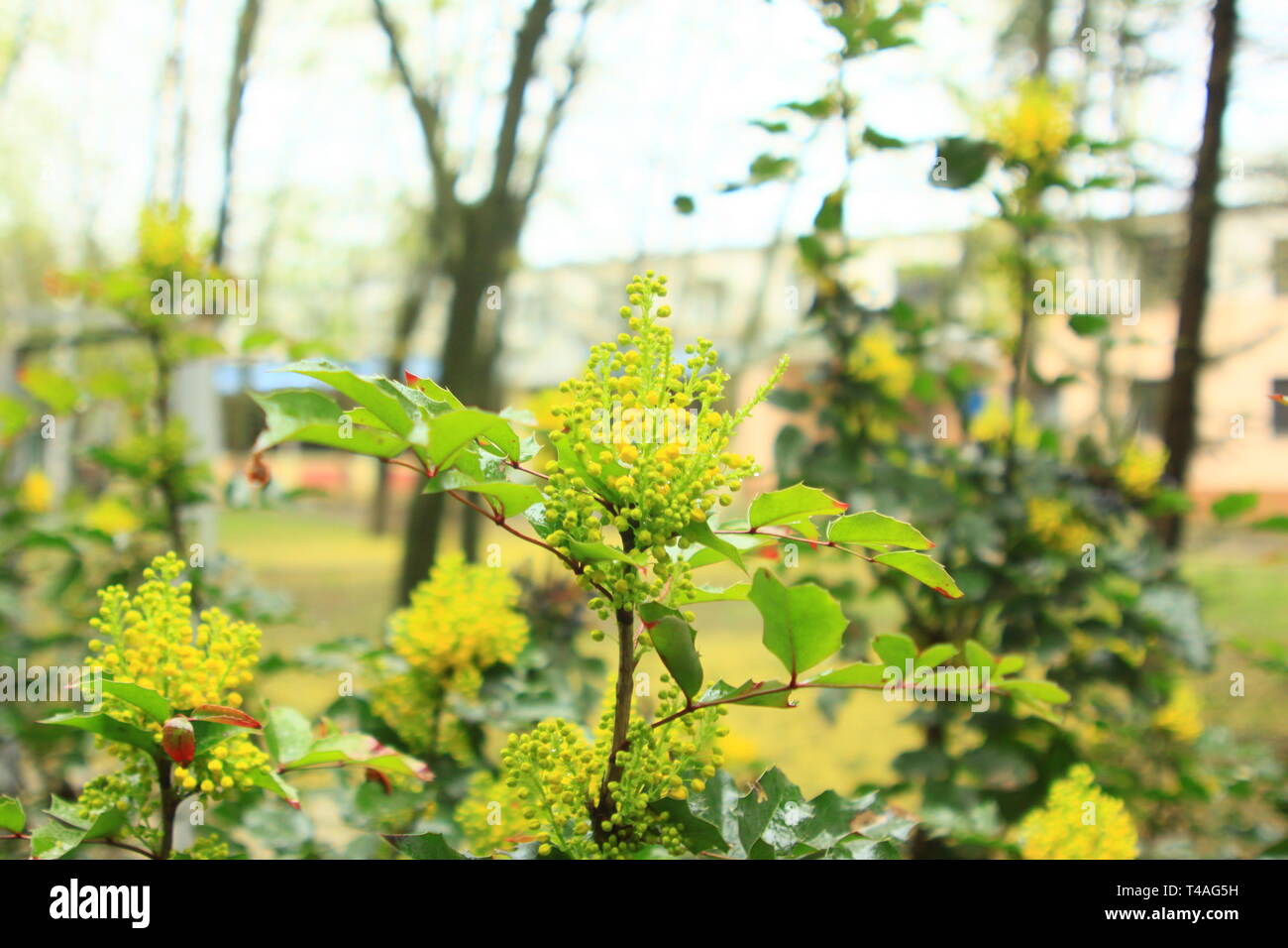 the beauty of nature and its rescue from destruction,keep nature and ...