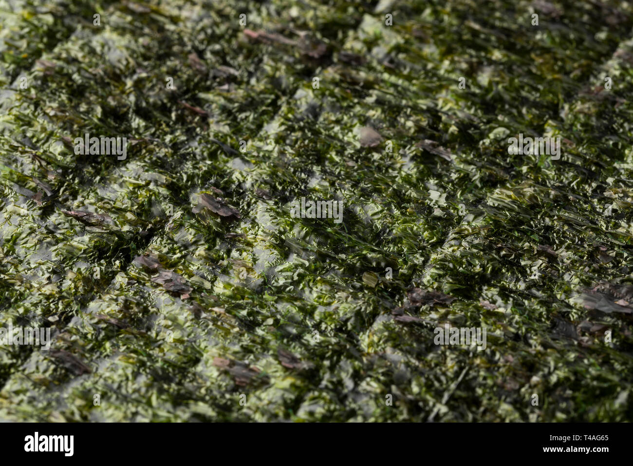 Dried seaweed sheet hi-res stock photography and images - Alamy