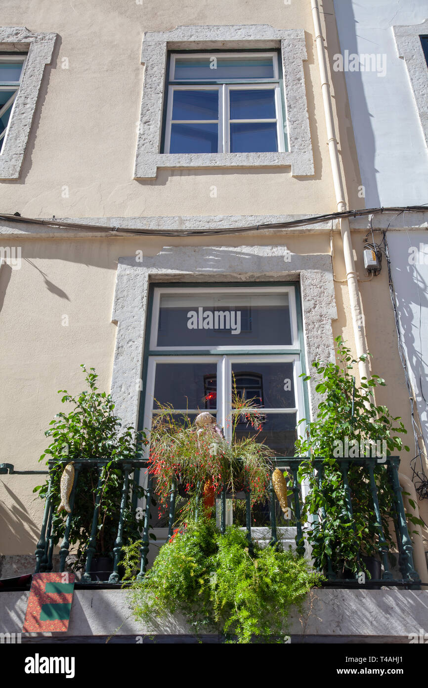 Lisbon Window with Plants - Portugal Stock Photo - Alamy