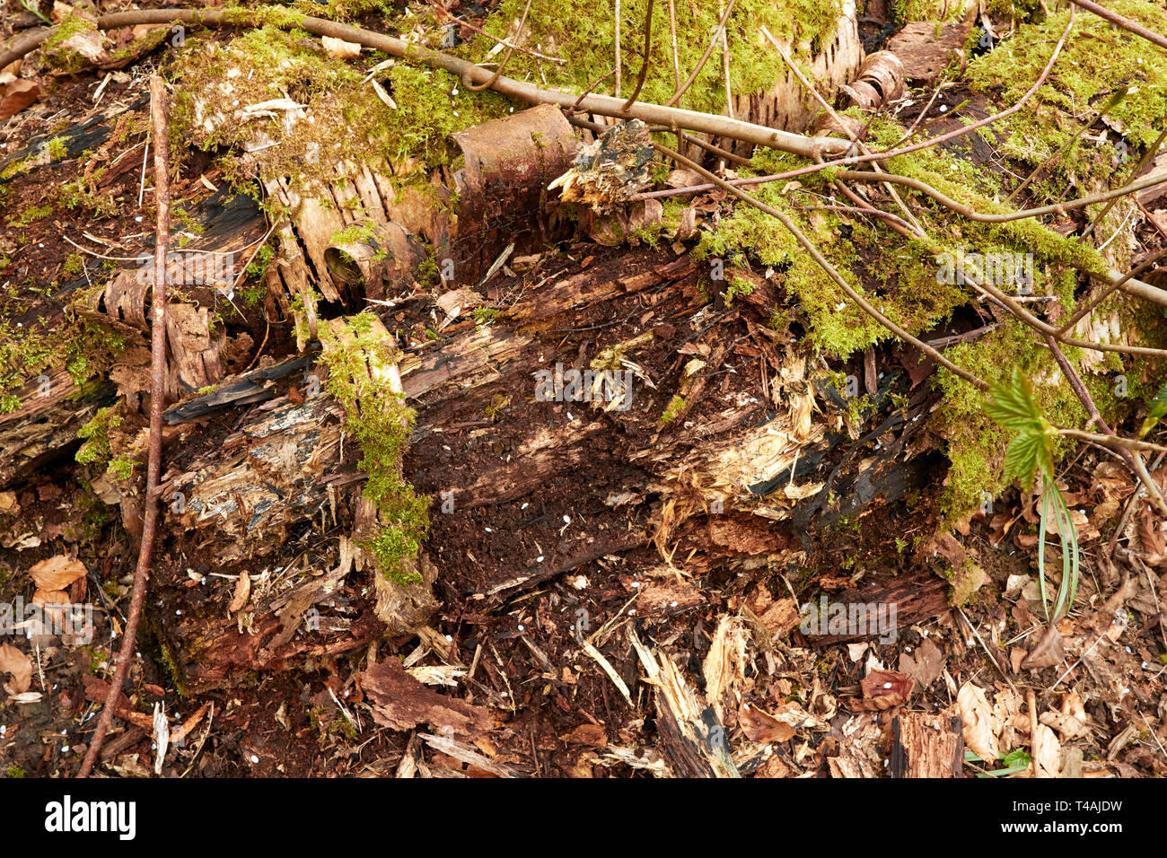 Fabric rotting hi-res stock photography and images - Alamy