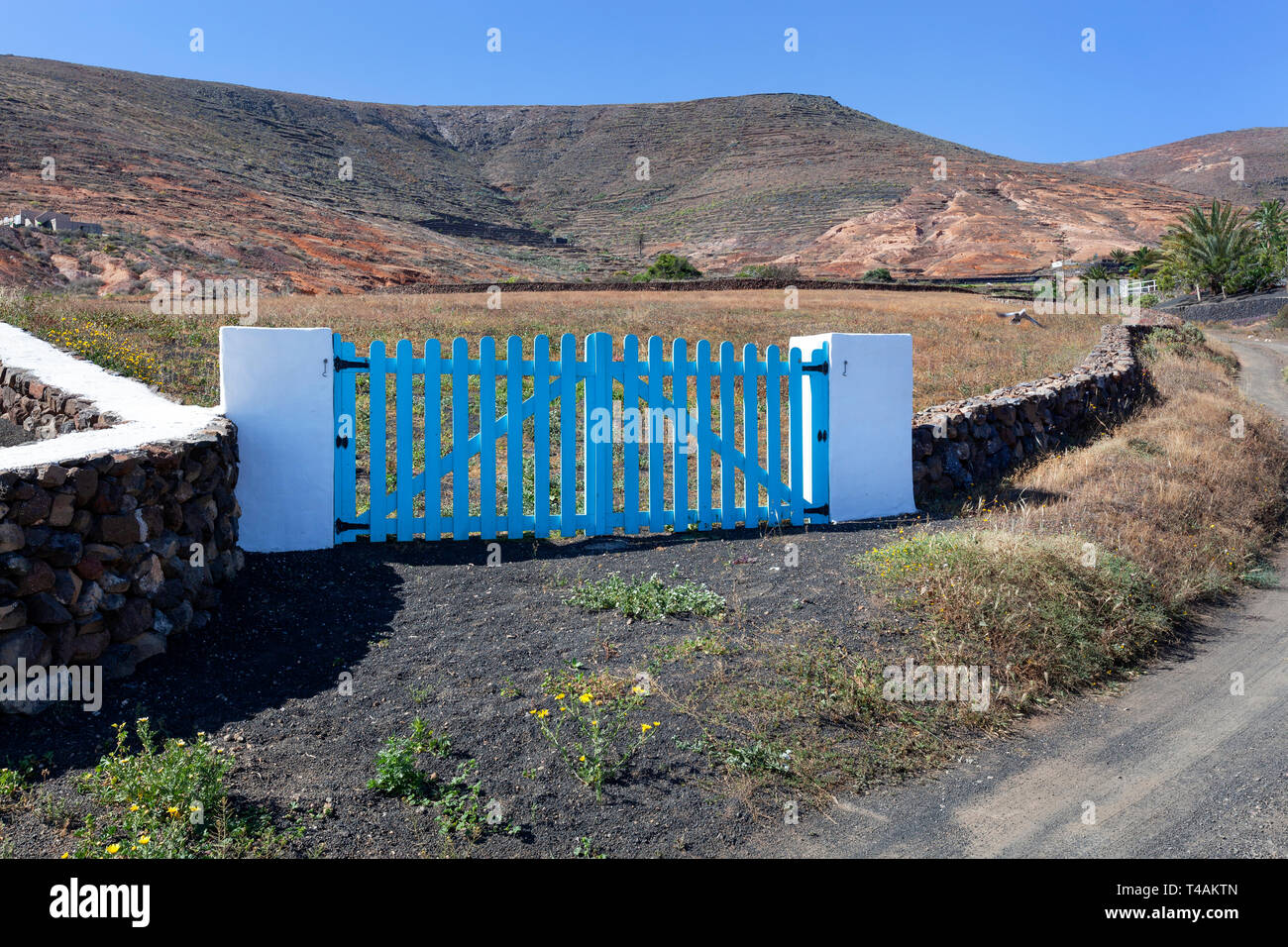 Spanish Concrete Fence