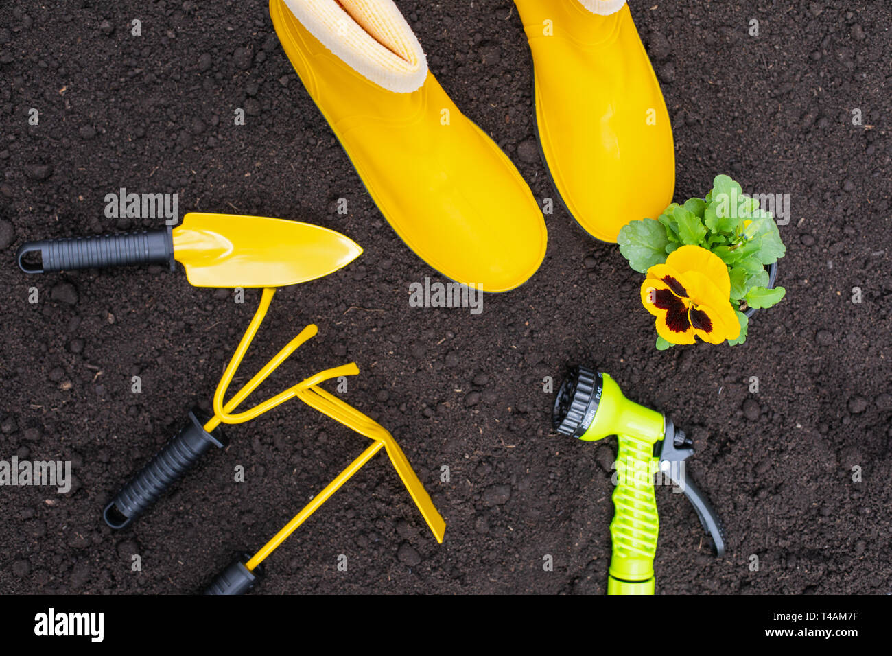 Top view of colorful gardening tools, plant, watering tools on black ...