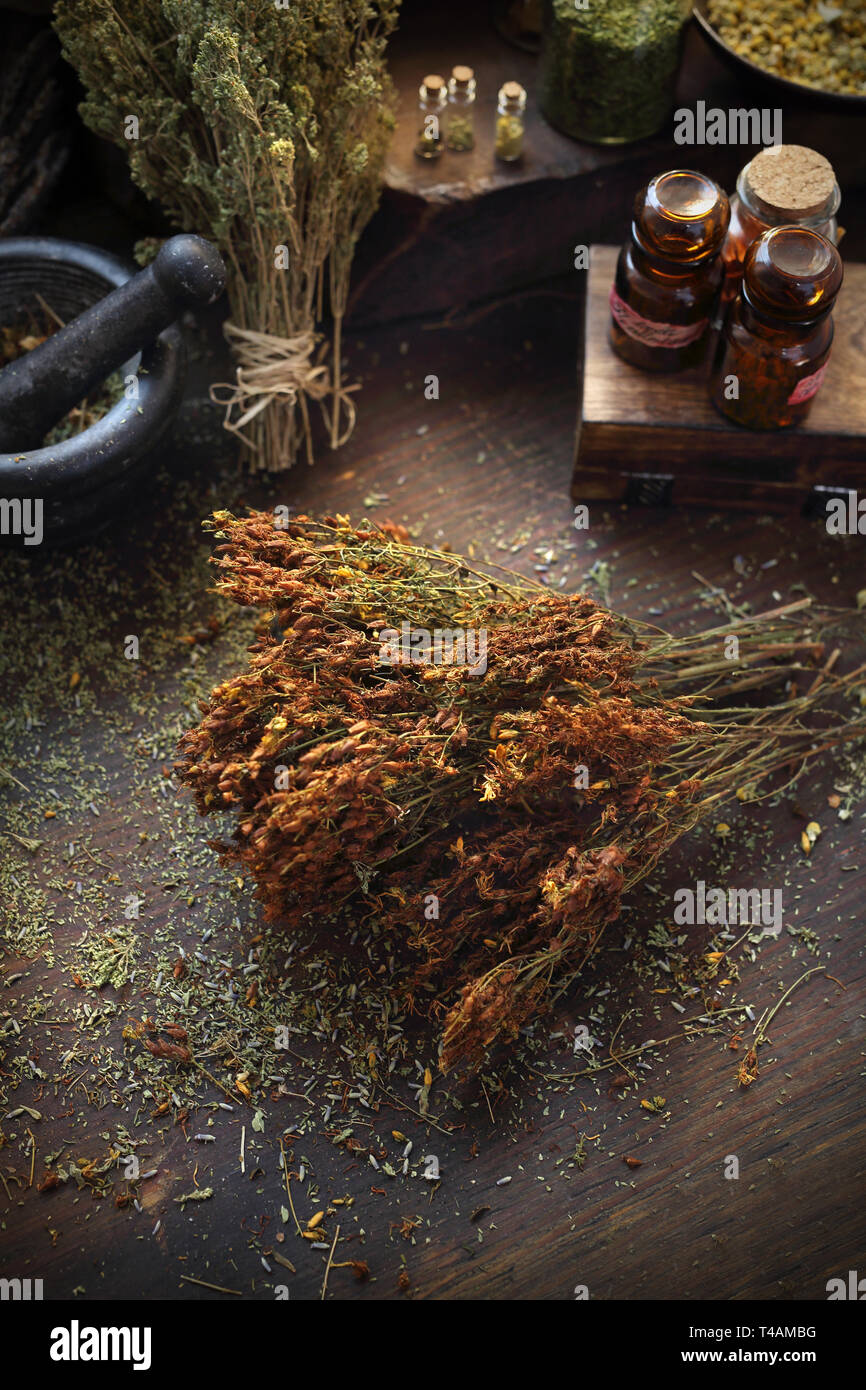 Herbs drug wort hi-res stock photography and images - Alamy