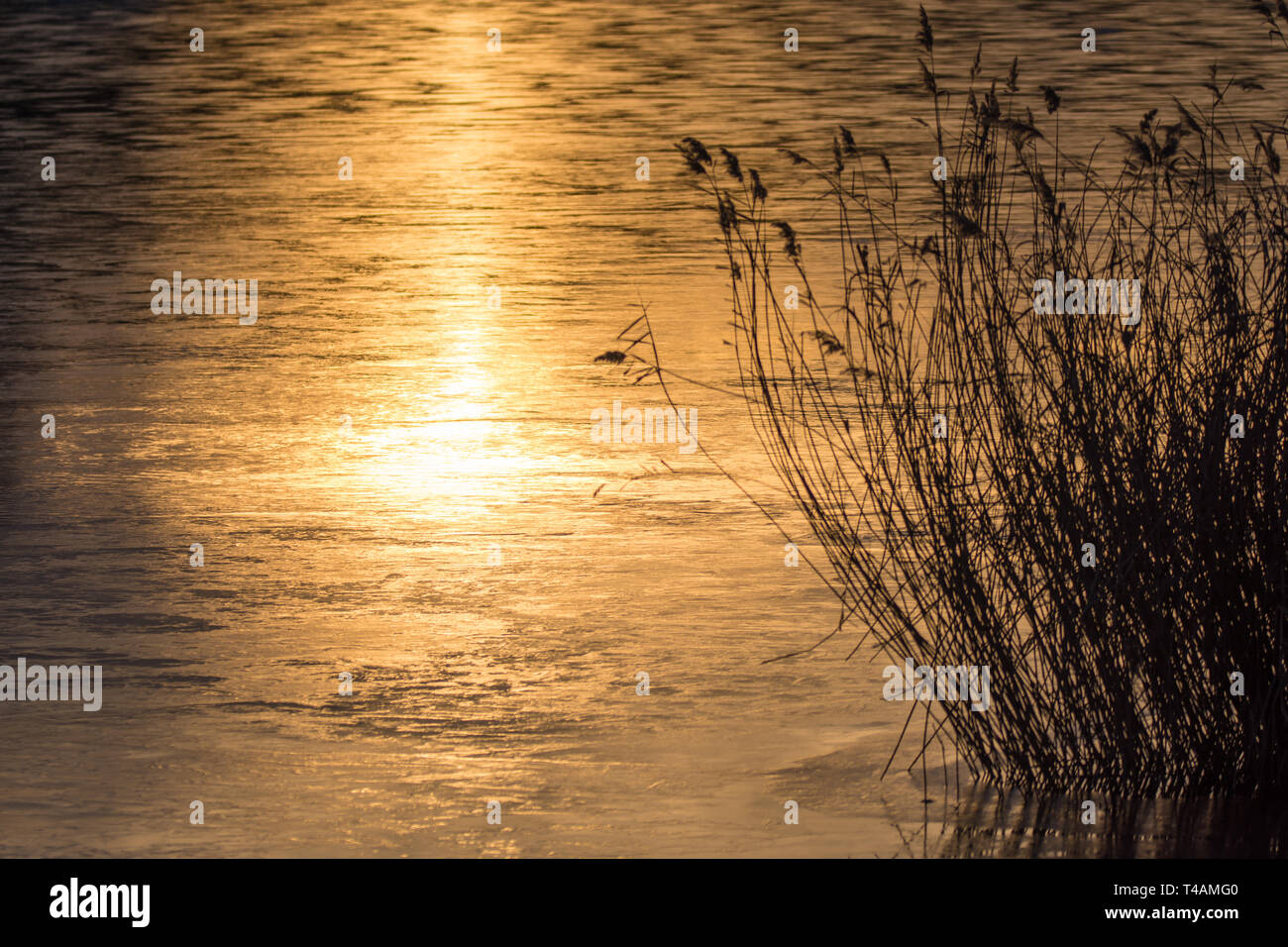 Beautiful water reflections hi-res stock photography and images - Alamy