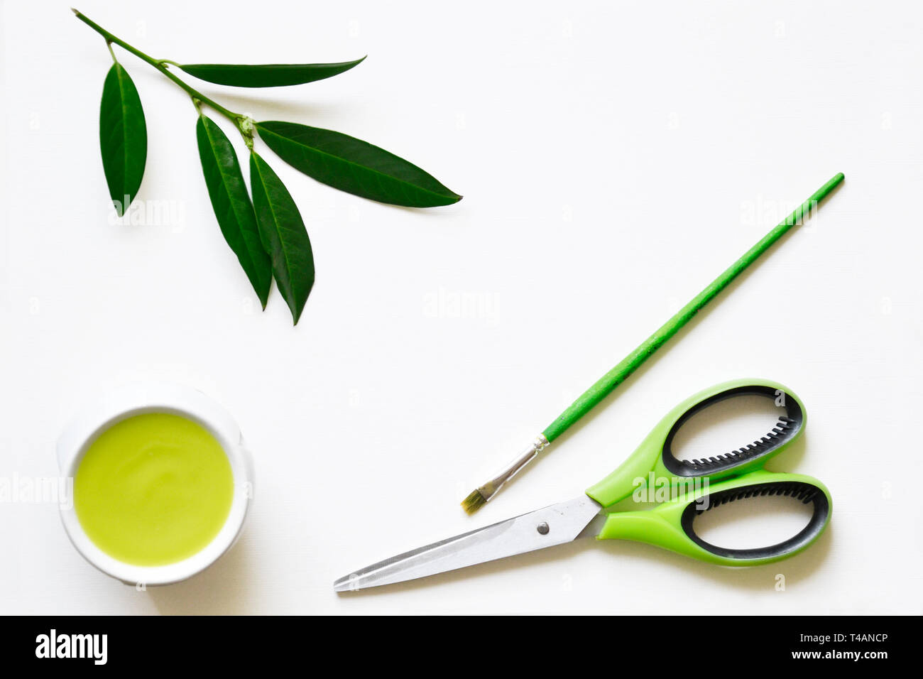 Scissors green background hi-res stock photography and images - Alamy