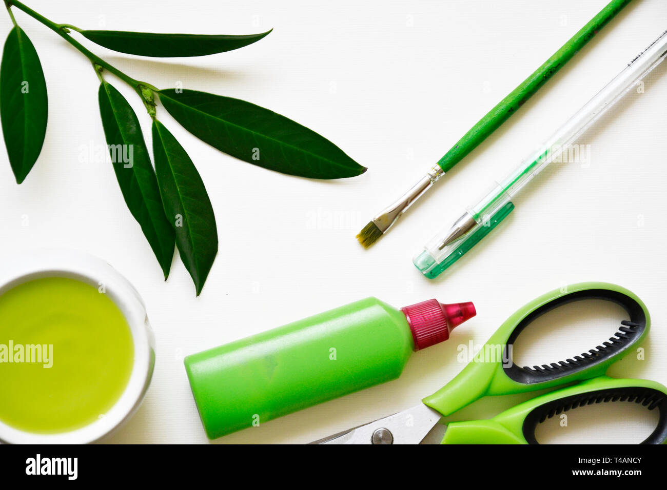 Green items hi-res stock photography and images - Alamy
