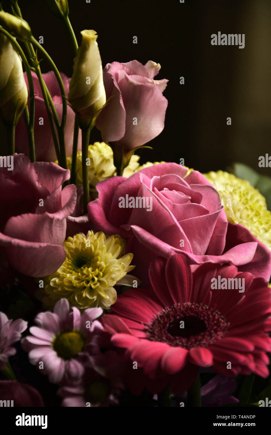 Romantic flowers hi-res stock photography and images - Alamy