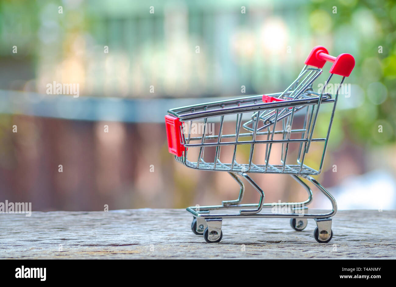 Mini shopping cart holding hi-res stock photography and images - Alamy