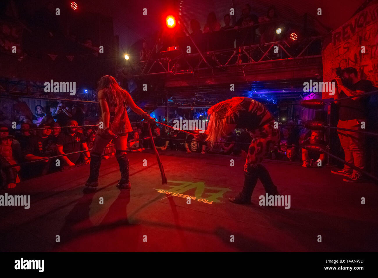 Session moth martina wrestler hi-res stock photography and images - Alamy