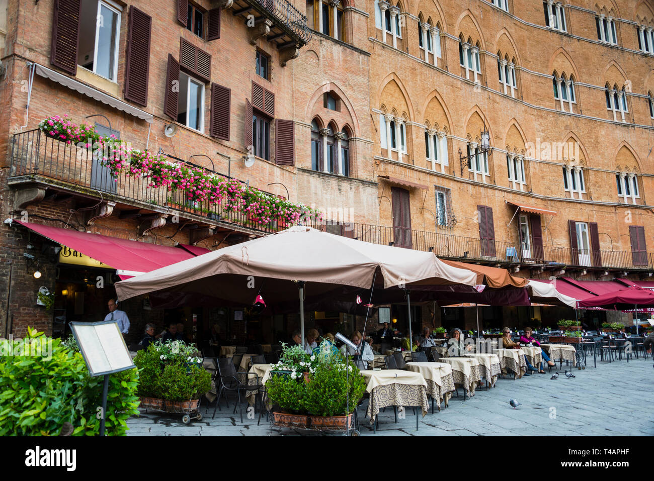 Curved Piazzo del Campo in Siena, Italy Stock Photo - Alamy