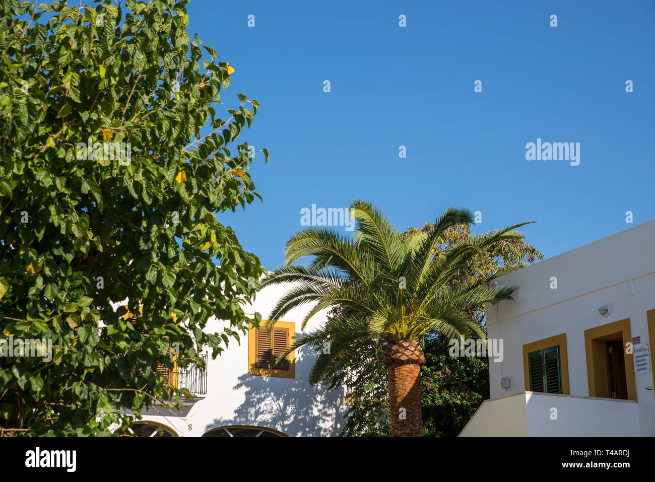 San Juan buildings, Ibiza, Spain Stock Photo - Alamy