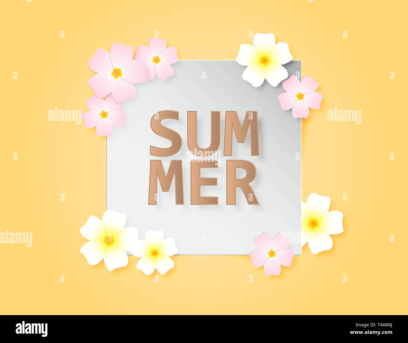 White and yellow plumeria flower Stock Vector Images - Alamy