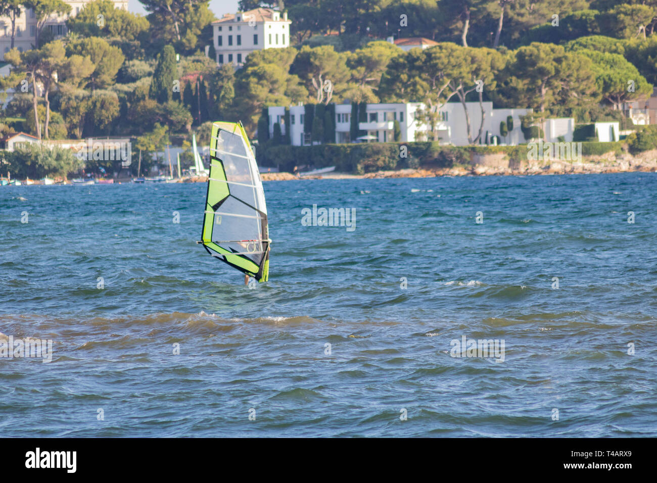 Olivette hi-res stock photography and images - Alamy