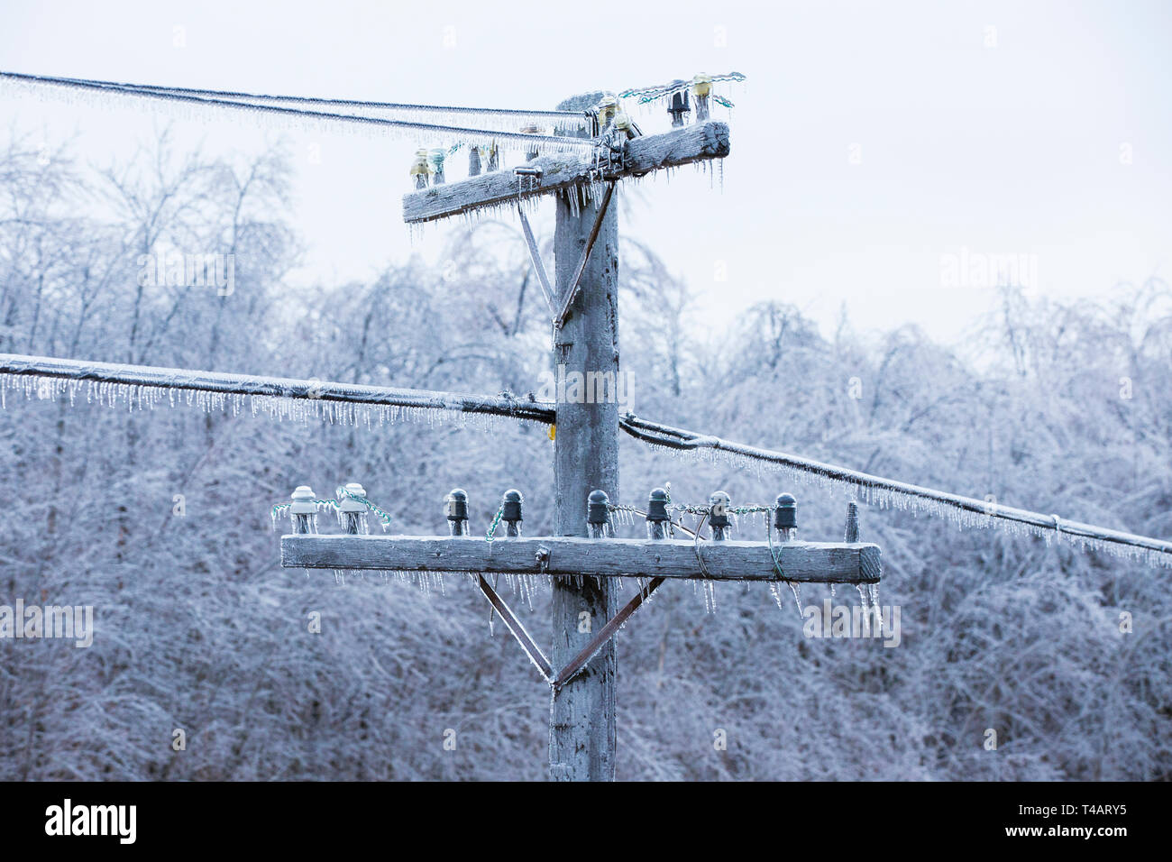 freezing rain on electric pole and wire, Montreal, 9 April, 2019 Stock ...