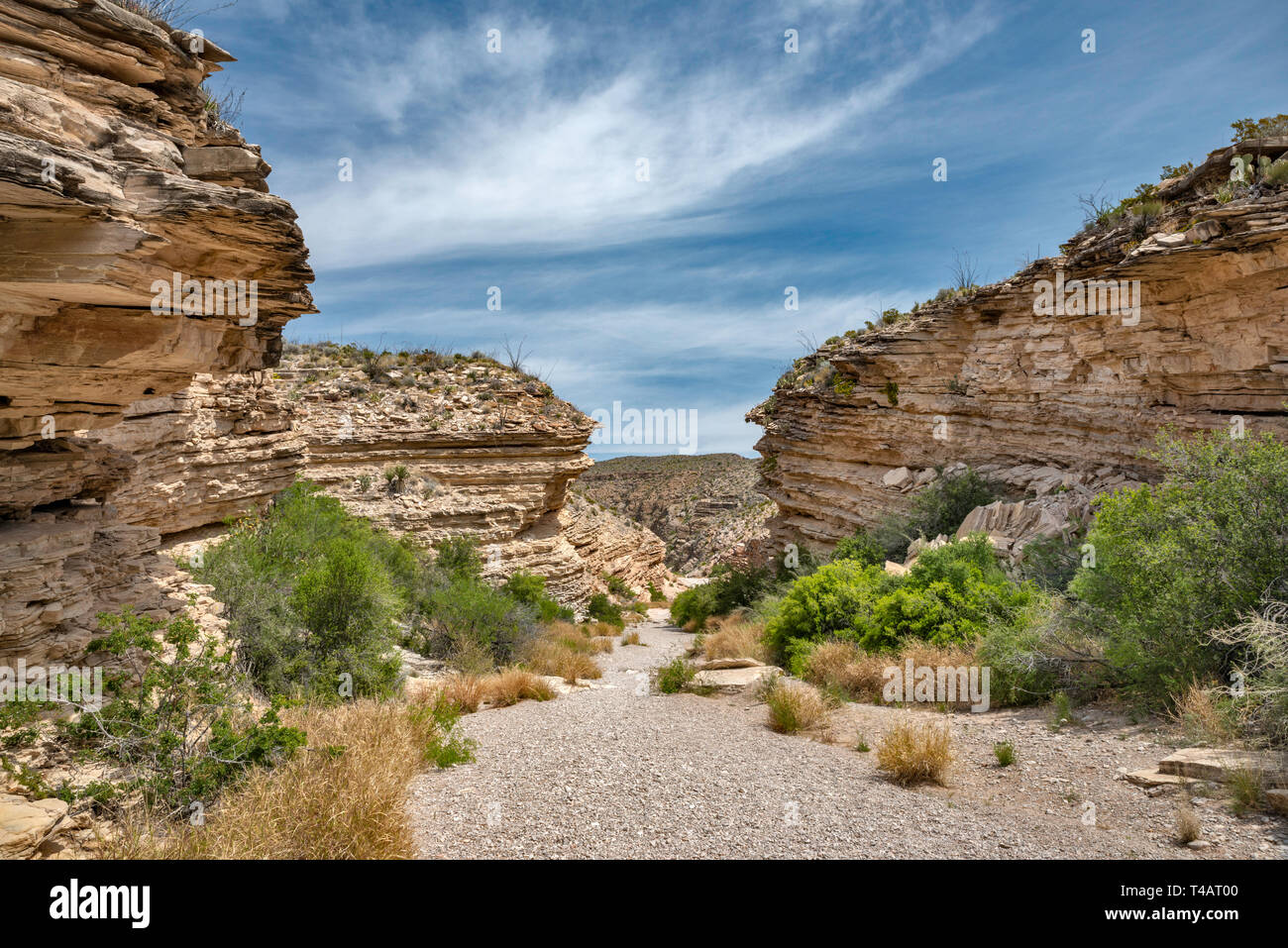 Limestone and shale layers of Boquillas Formation in Ernst Canyon, Big ...