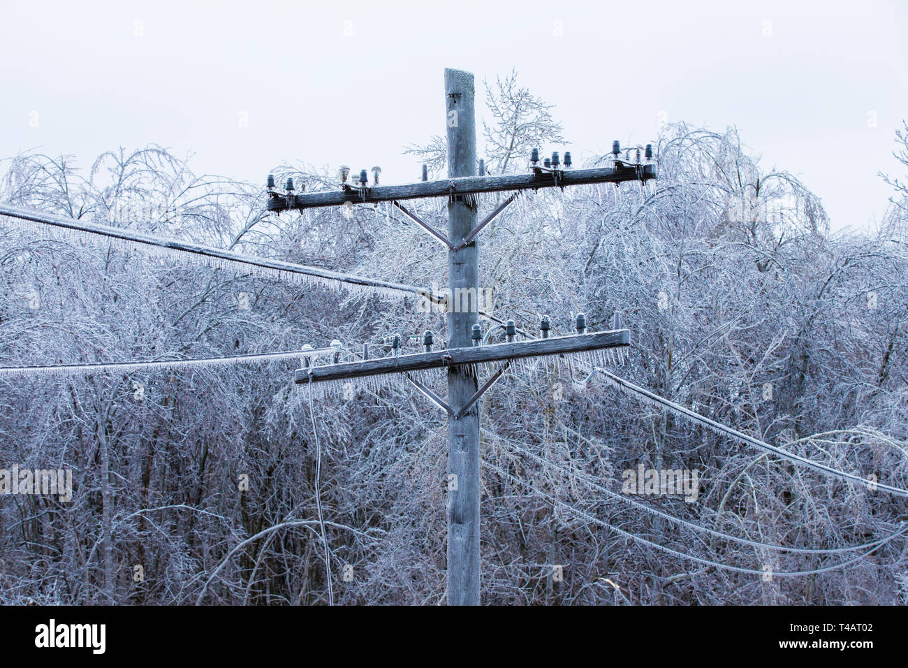 freezing rain on electric pole and wire, Montreal, 9 April, 2019 Stock ...