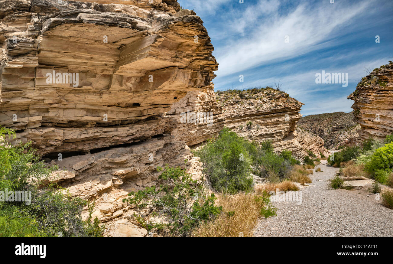 Limestone and shale layers of Boquillas Formation in Ernst Canyon, Big ...