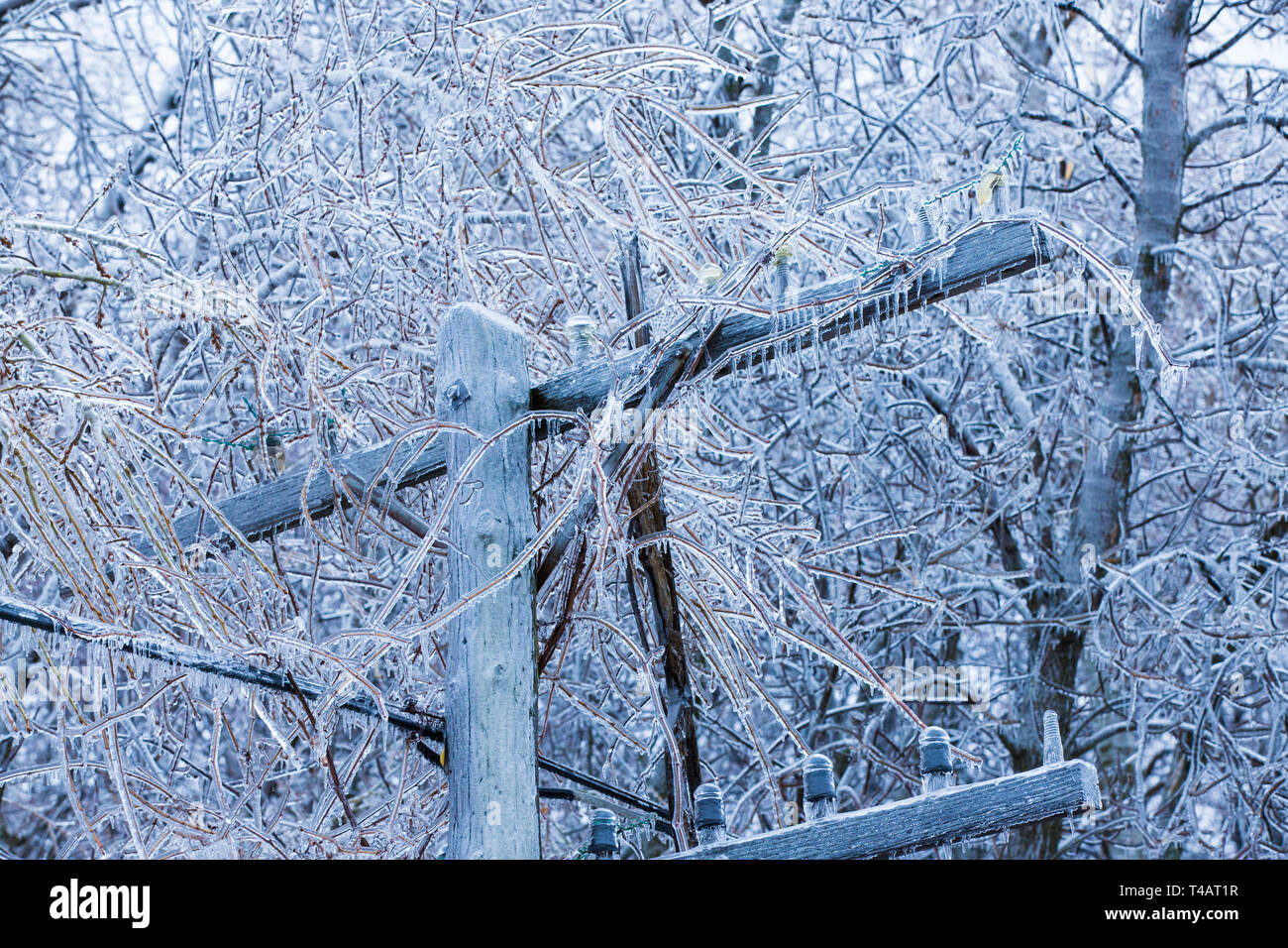 freezing rain on electric pole and wire, Montreal, 9 April, 2019 Stock ...