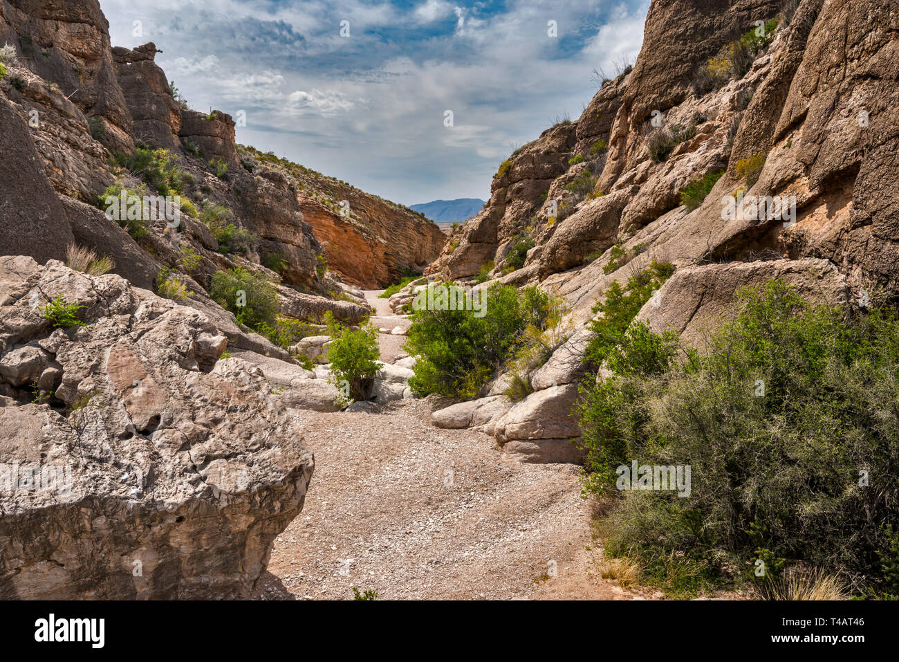 Ernst Canyon, Big Bend National Park, Texas, USA Stock Photo - Alamy