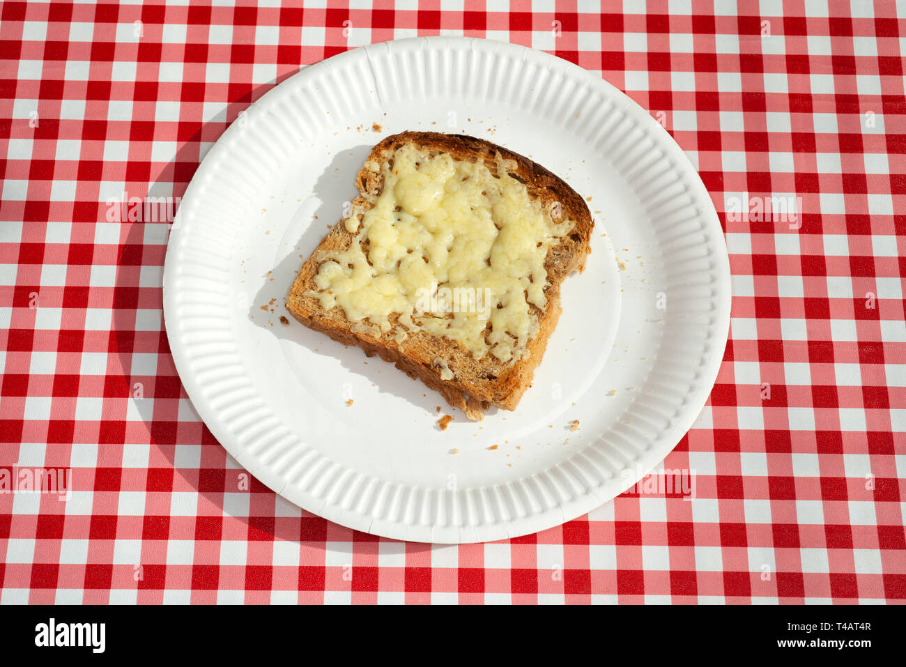 Toasted cheese on wholemeal bread Stock Photo - Alamy