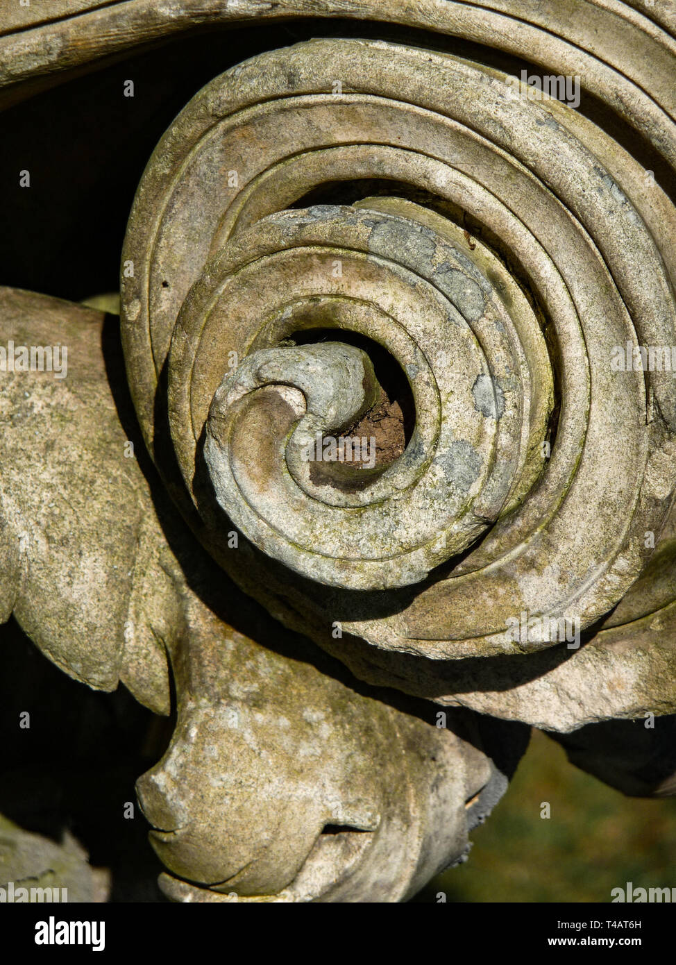 Scroll of capital from a column Stock Photo - Alamy