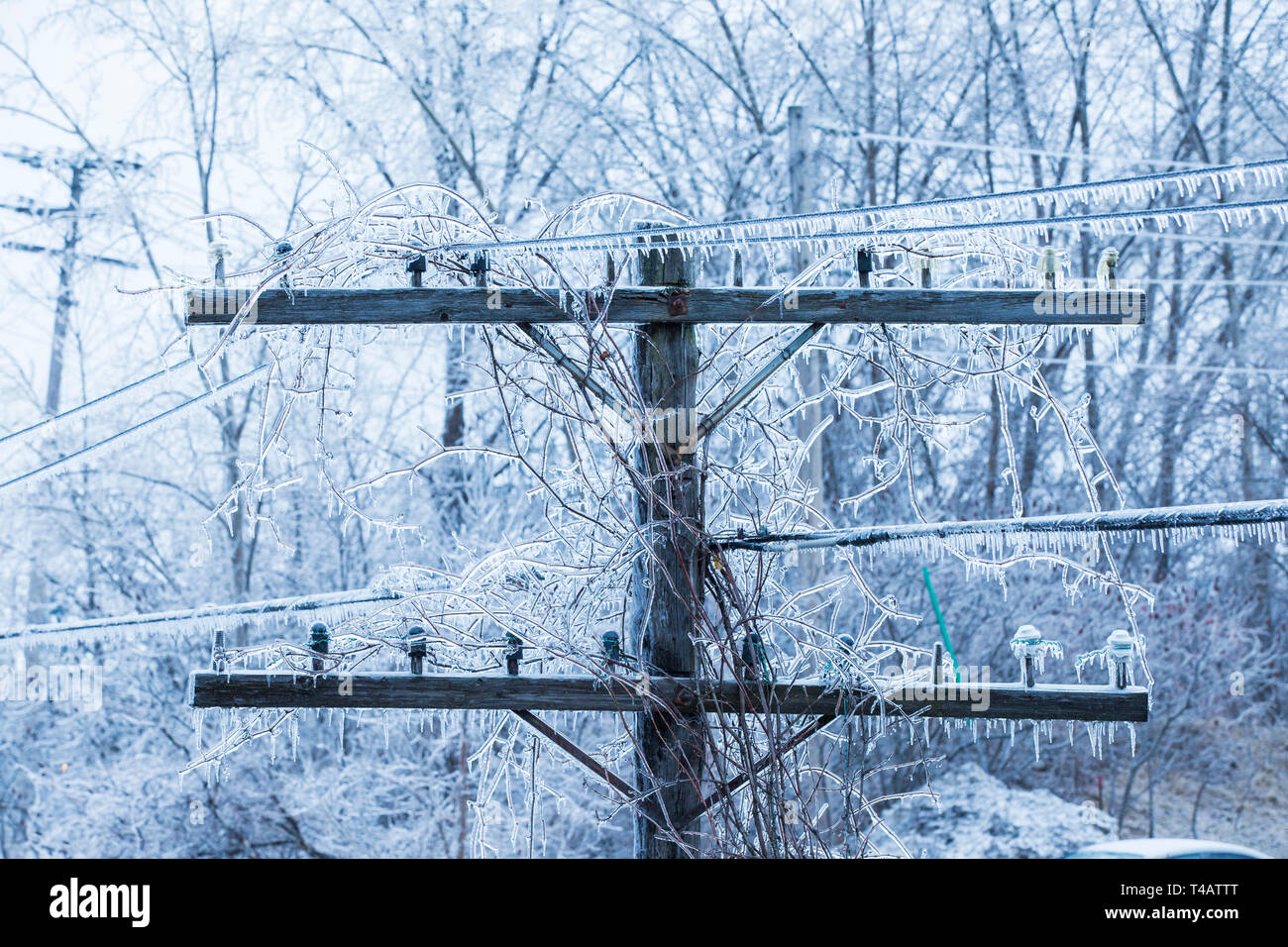freezing rain on electric pole and wire, Montreal, 9 April, 2019 Stock ...