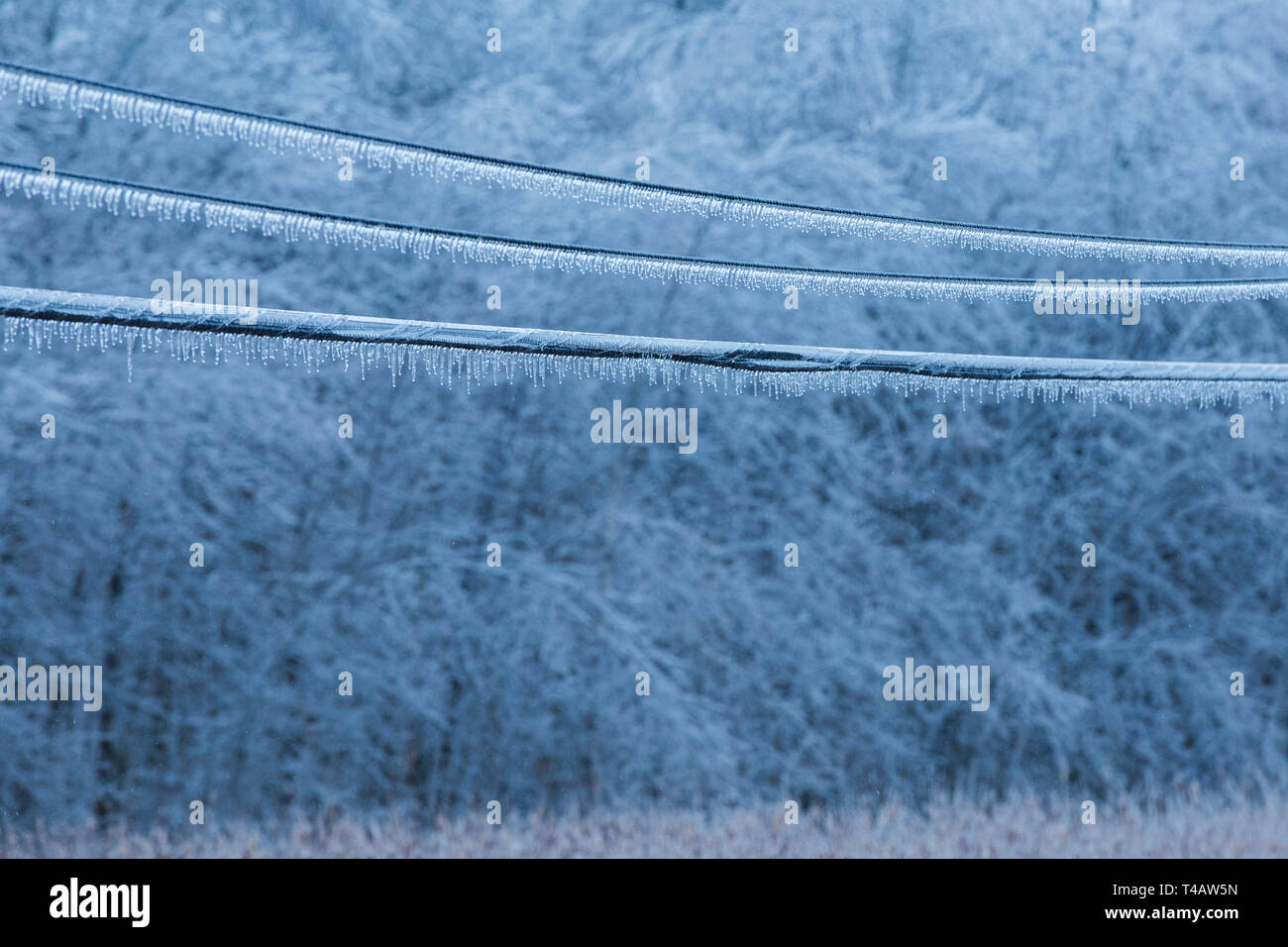 freezing rain on electric pole and wire, Montreal, 9 April, 2019 Stock ...