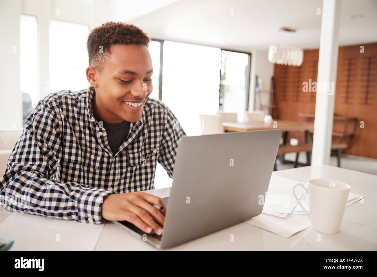 Smiling black male teenager using a laptop computer at home Stock Photo ...