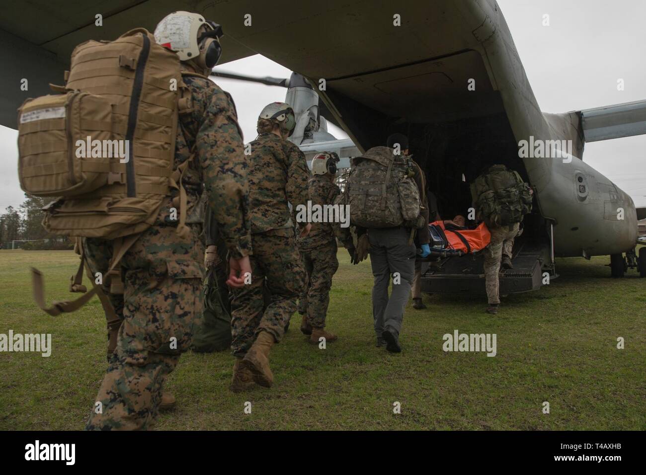 U.S. Navy Sailors with 2nd Medical Battalion, 2nd Marine Logistics ...