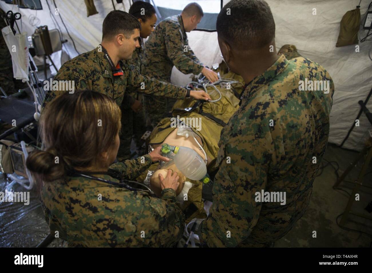 U.S. Navy Sailors with 2nd Medical Battalion, 2nd Marine Logistics ...