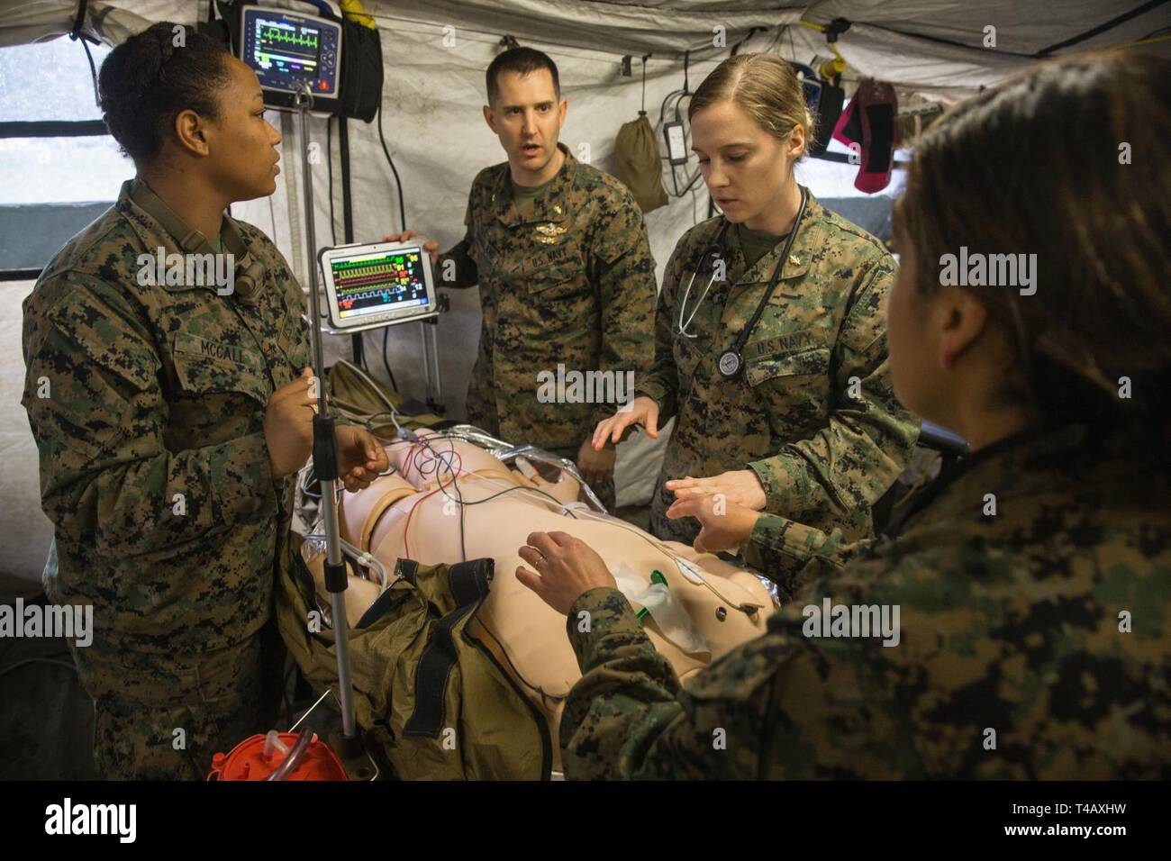 U.S. Navy Sailors with 2nd Medical Battalion, 2nd Marine Logistics Group, perform a trauma ...