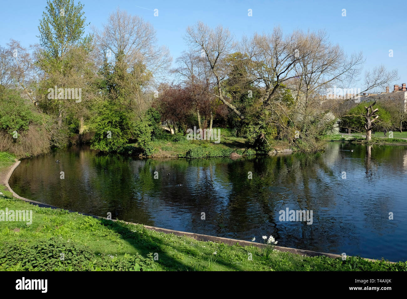 Regents park on sunny hi-res stock photography and images - Alamy