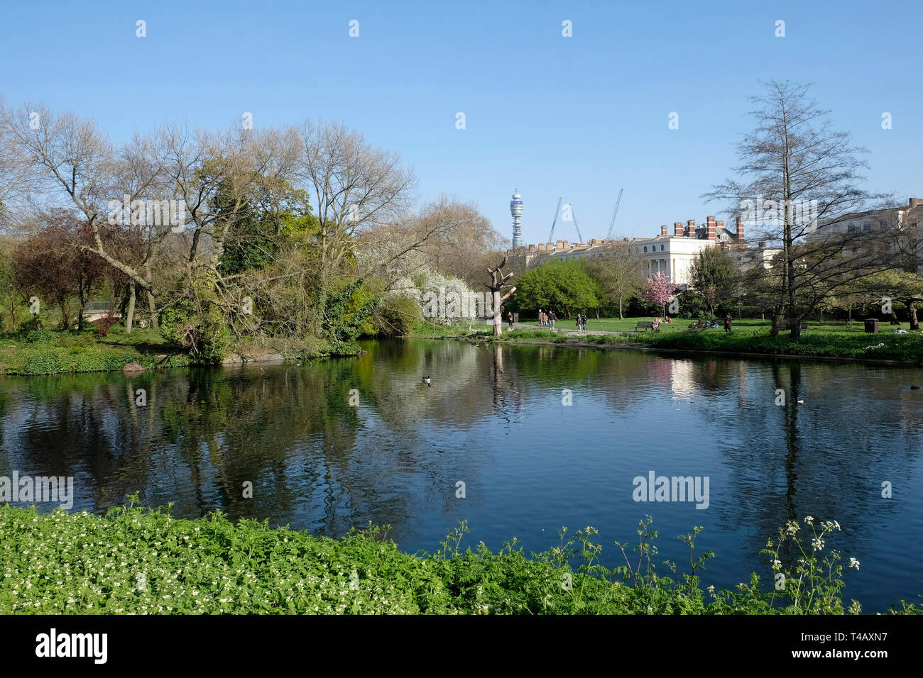 Regents park on sunny hi-res stock photography and images - Alamy