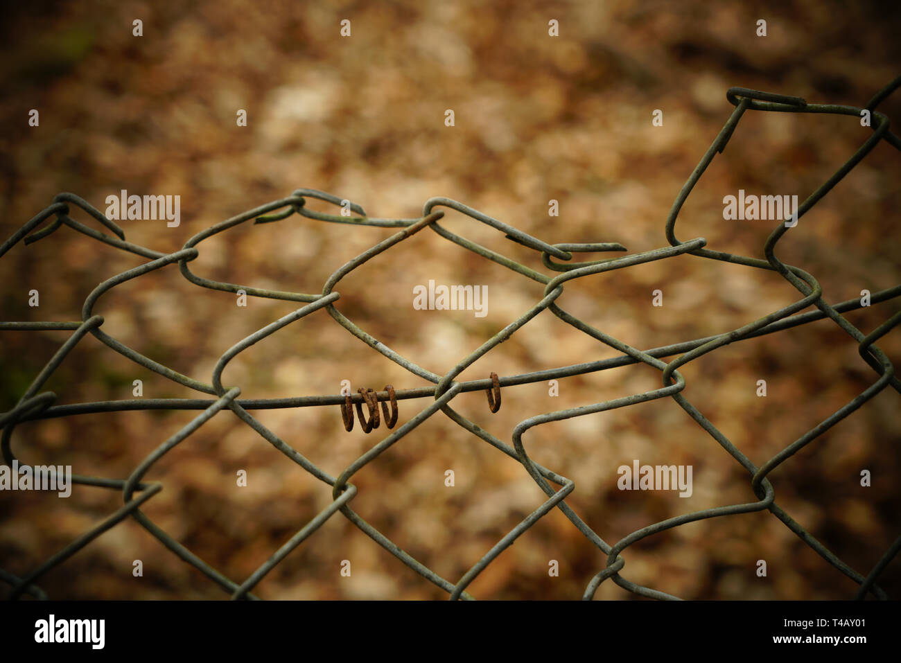 Wire fence with blurred background Stock Photo - Alamy