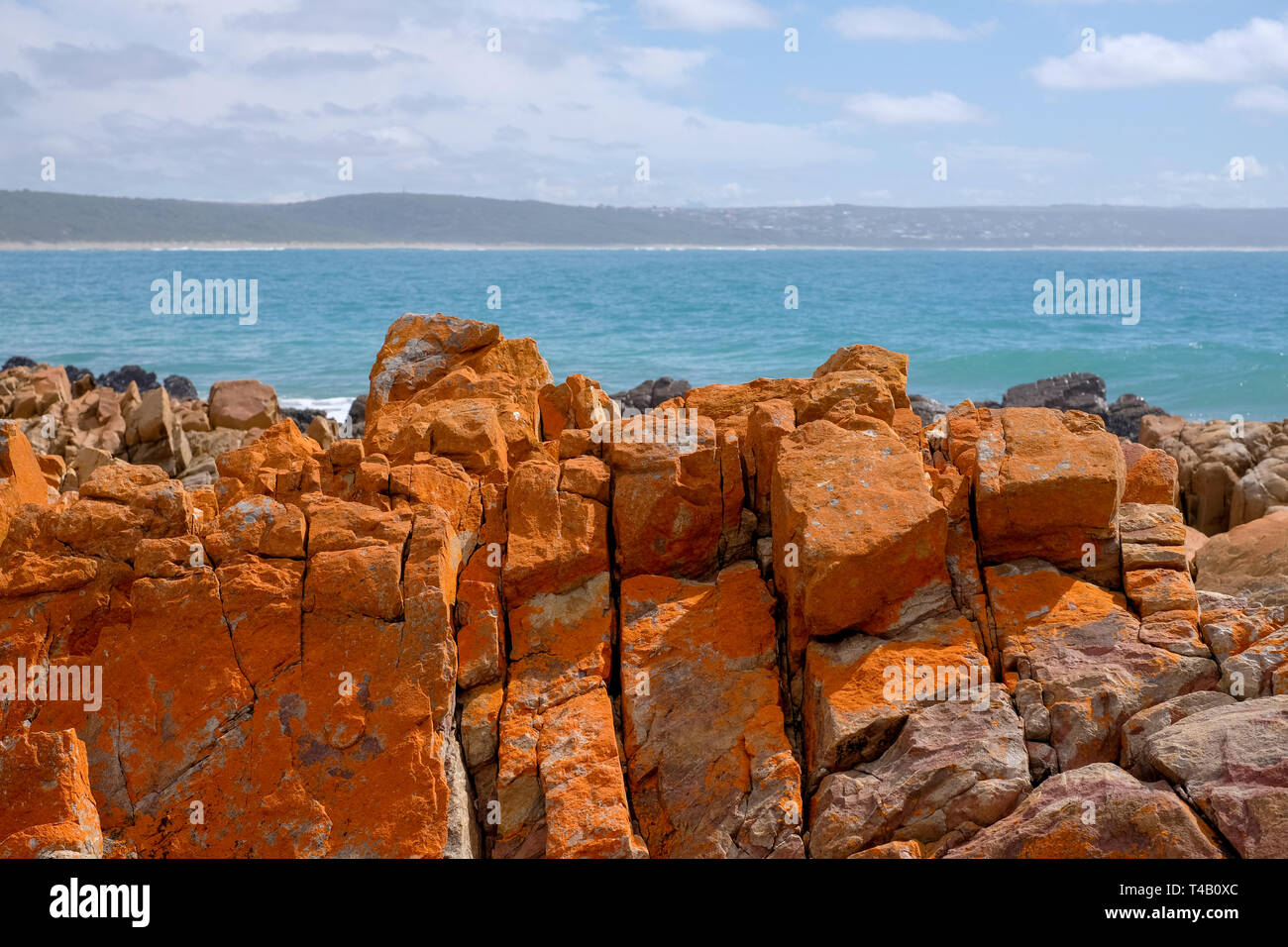 View of the rocks on the beach and the ocean on the Oyster Catcher ...