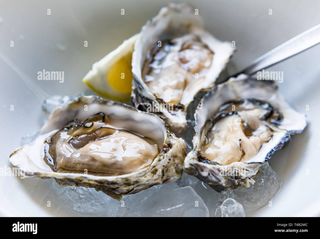 Food restaurant seafood shell hi-res stock photography and images - Alamy