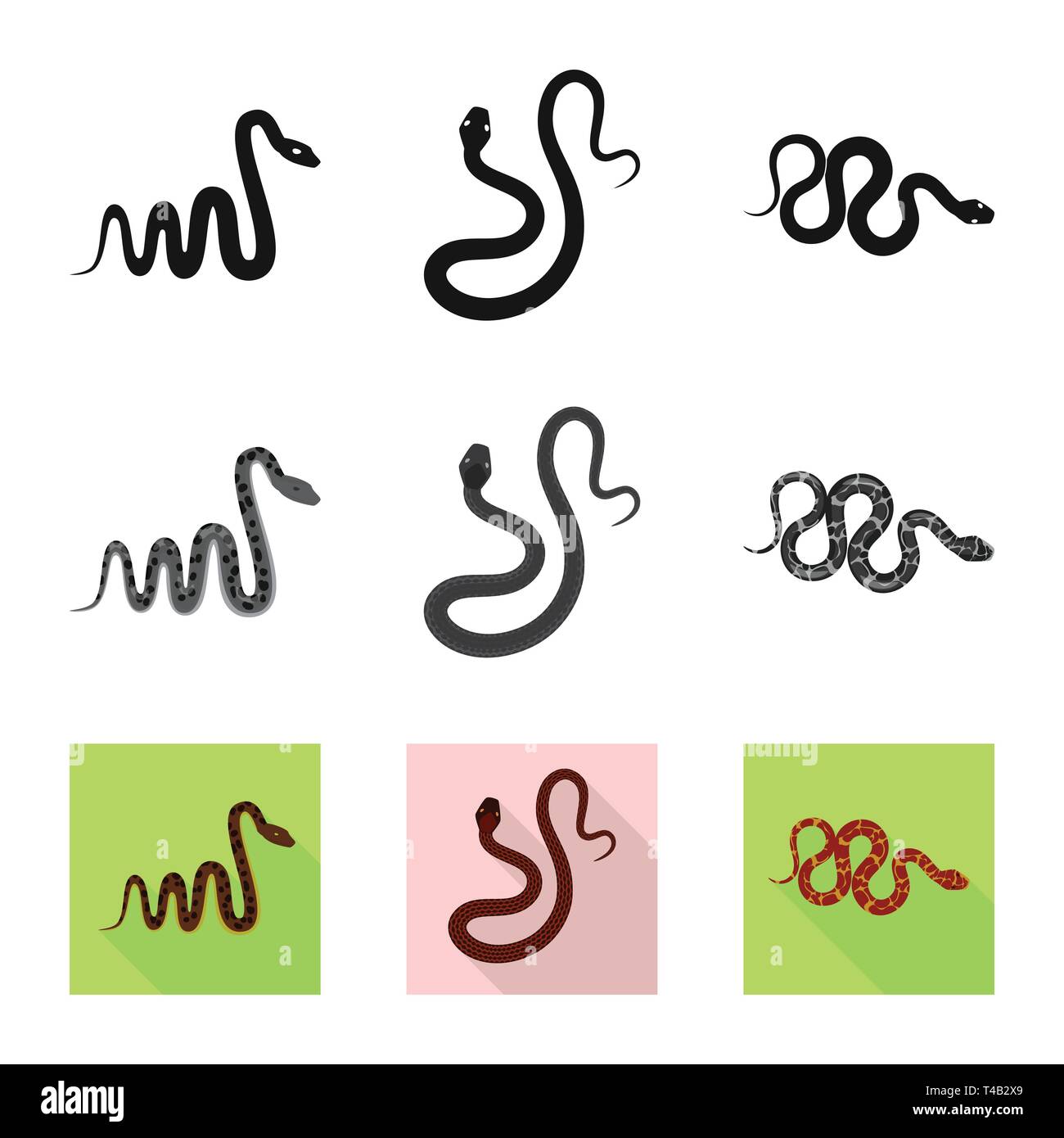 snake,python,tail,wild,jungle,spiral,tropics,large,tropical,creeping ...