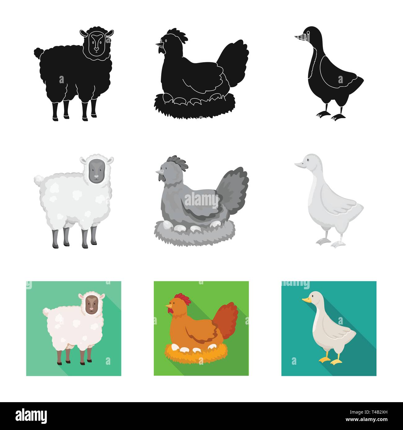 Mutton bird Cut Out Stock Images & Pictures - Alamy