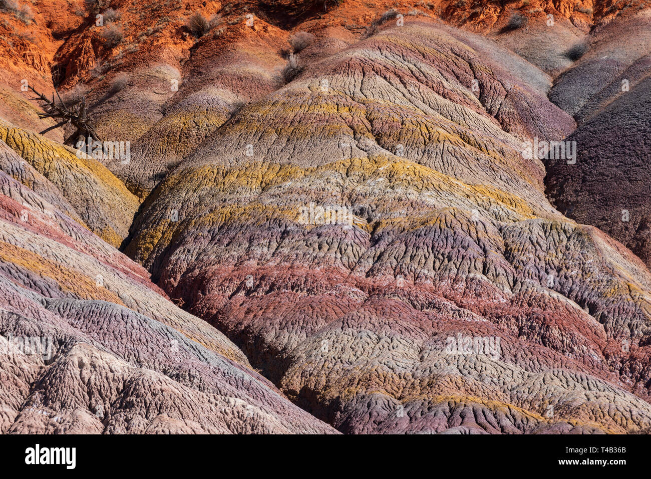The colorful landscape at Vermillion Cliffs National Monument, Arizona ...