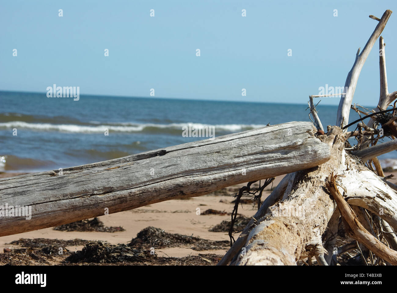 Beach Scenery at Brackley Beach in the National Park of Prince Edward ...