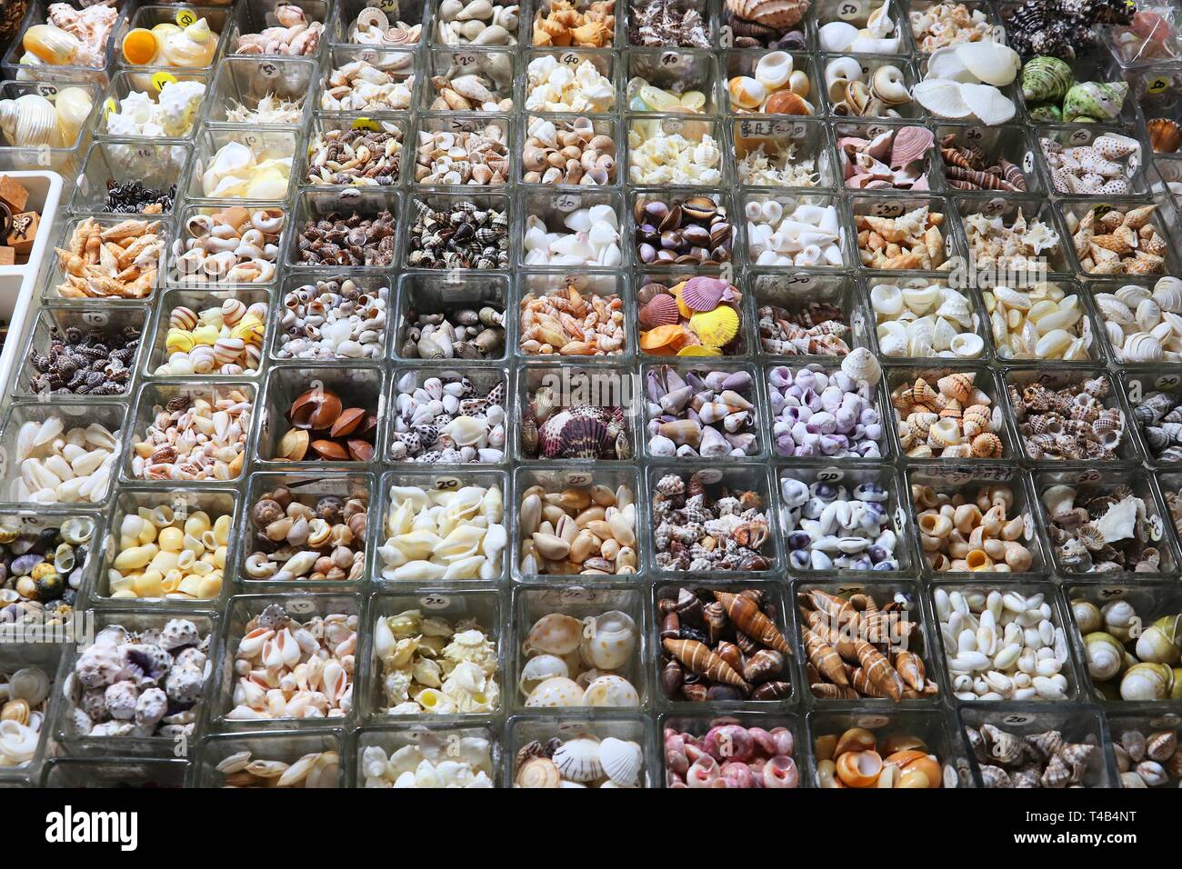 Taiwan beach shells hi-res stock photography and images - Alamy