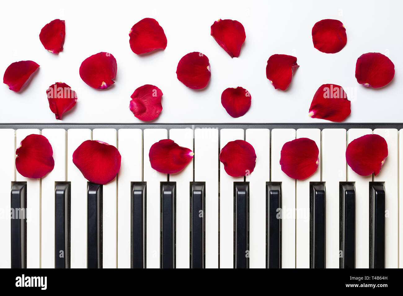 Piano keys with red rose flower petals, isolated, top view, copy space ...