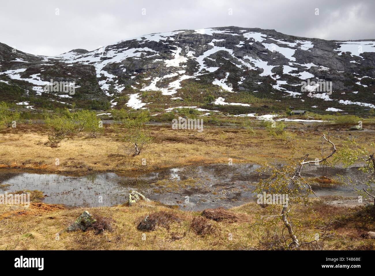 Norway hiking area - swamps and marshlands in Hordaland county, next to ...
